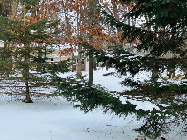 Nickz Cozy Cabin - Michigan