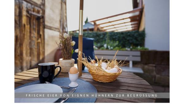 Apartment Leinetal Mit Kamin & Kaminholz, 1-3 Personen , Schlafzimmer Mit Boxspringbett 180x200 & Hochwertige Hotelbettwäsche, Bequemes Einzelbett Im Wohnzimmer, Terrasse, Einbauküche, - Bad Gandersheim