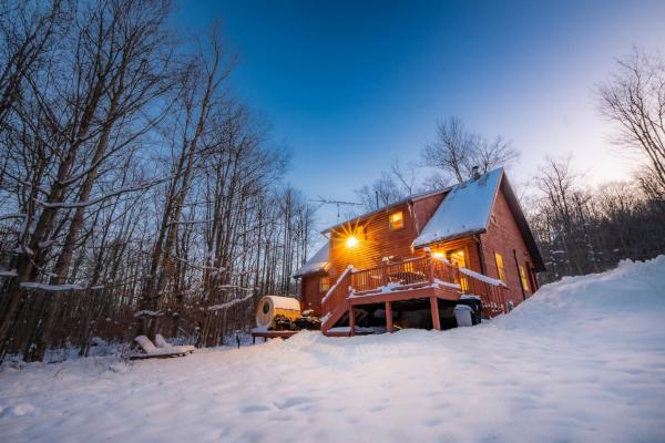 Driftland Cabin Sauna, Hot Tub, Pizza Oven - Davis, WV