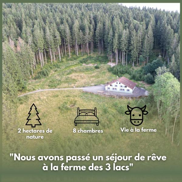 La Ferme Des 3 Lacs - Munster, France