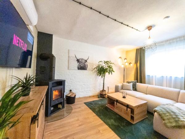 Stylisch Loft I Industrie-design I Kamin I Netflix - Halle (Saale)