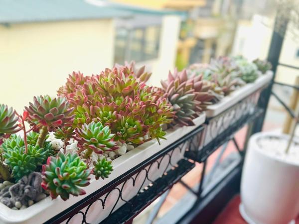 Căn Hộ 3 Tầng 2 Phòng Ngủ - Hanoi