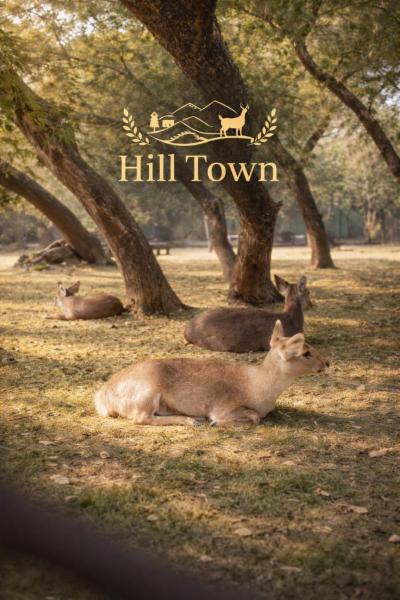 Hill Town Hotel Islamabad - Islamabad