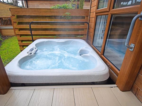 Bluebird Lodge 2 - Uk50932 - Coniston