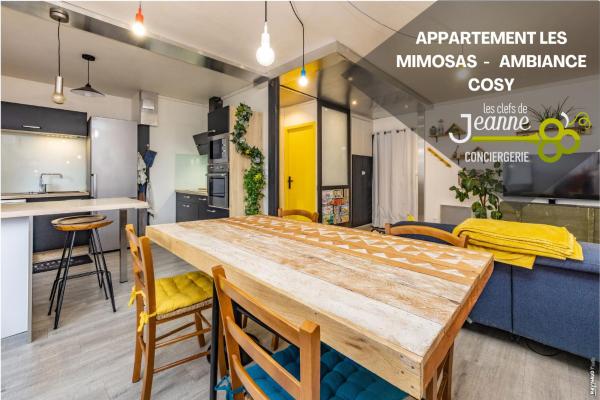 Appartement Les Mimosas - Ambiance Cosy - Albi