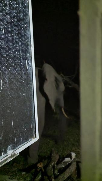 Holiday Home Kariba - Zimbabwe