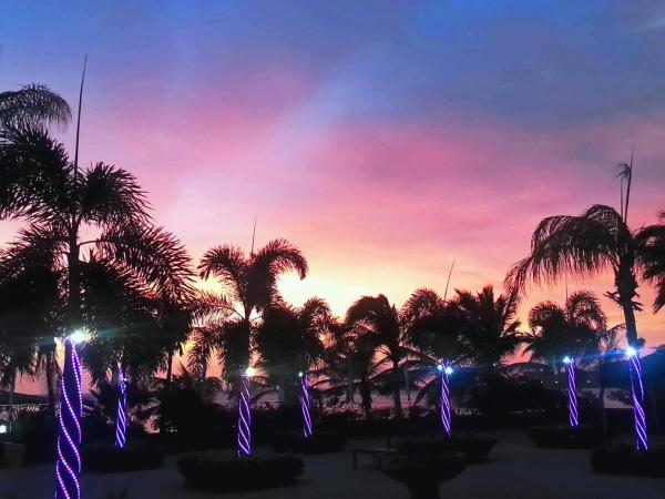 Aruba Surfside Marina - Aruba