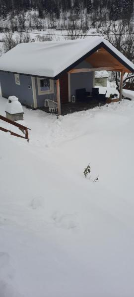 Domki Letniskowe Nad Jeziorem Solińskim Pasiekówka - Polańczyk