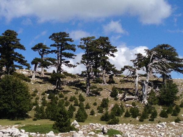 "Cuore Del Pollino" Locazione Turistica - Basilicata
