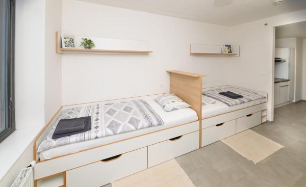 Domeq Free Parking, Gym, Co-working And Terrace - Brno