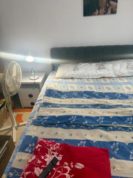 Kay Borsa - Alba Iulia