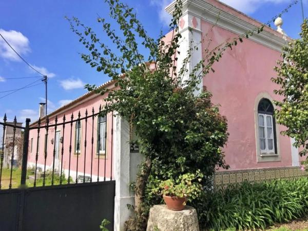 Quinta Do Minhoto, Charming Country House Close To Golegã - Chamusca