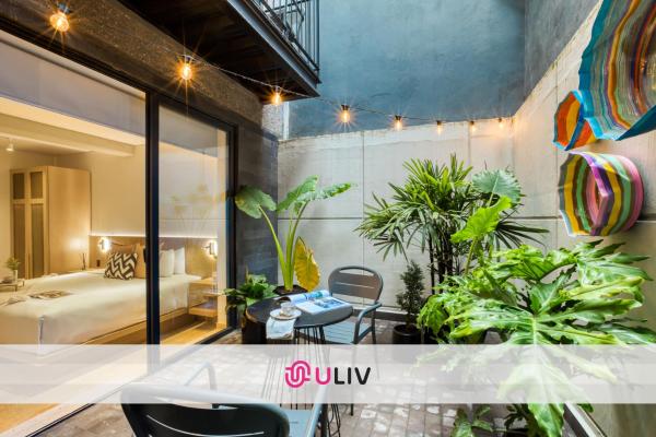 Uliv Edgar Allan Poe - Ciudad de México