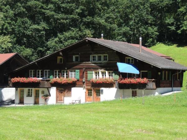 Apartment Lengwaldwohnung 285 By Interhome - Lauterbrunnen