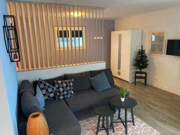 Apartment Spring Inn Studio By Interhome - Meiringen