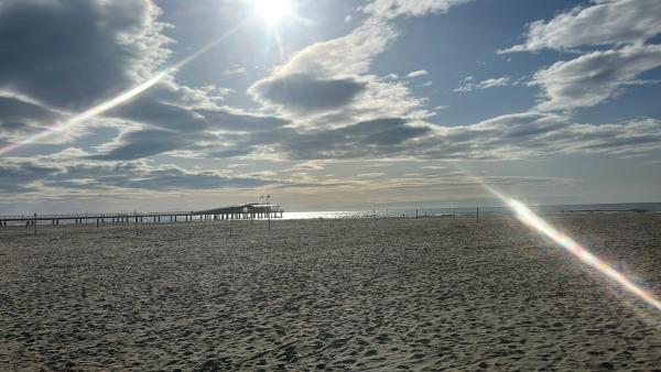 L'orchidea_holiday - Camaiore