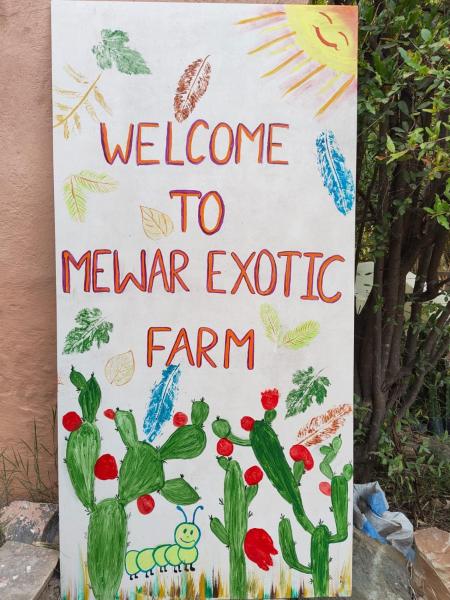 Mewar Exotic Fruit Farm & Farm Stay - Rajasthan