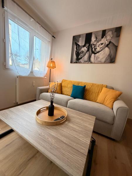 Appartement Cosy Au Cœur Du Mans Proche Centre-ville - Le Mans