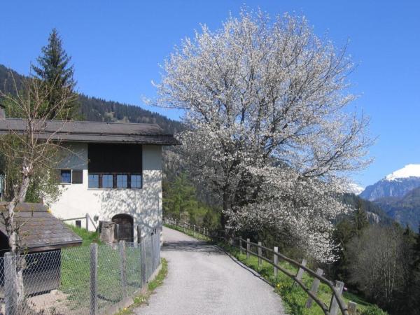 Holiday Home Staudenhof Viamala By Interhome - Canton des Grisons
