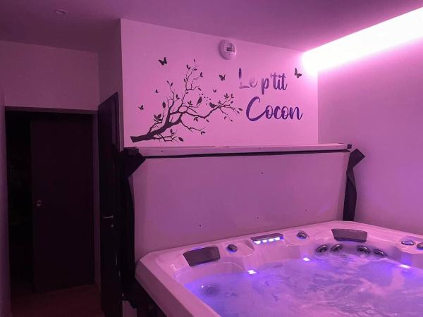 Studio 3 éToiles Avec Grand Jacuzzi Privé - Colmar