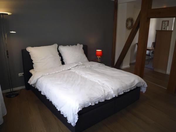 Apartment Wohnung In Hameln Mit Garten By Interhome - Bad Pyrmont