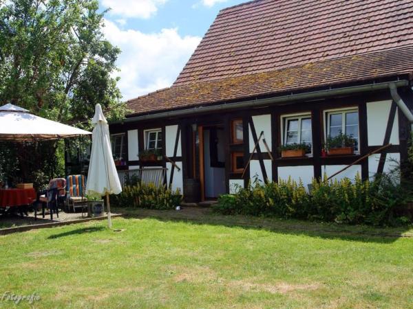 Apartment Gemütliches Appartement In Betschdorf By Interhome - Haguenau