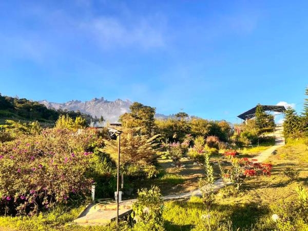 Aman Homestay Kundasang Sabah - Kundasang