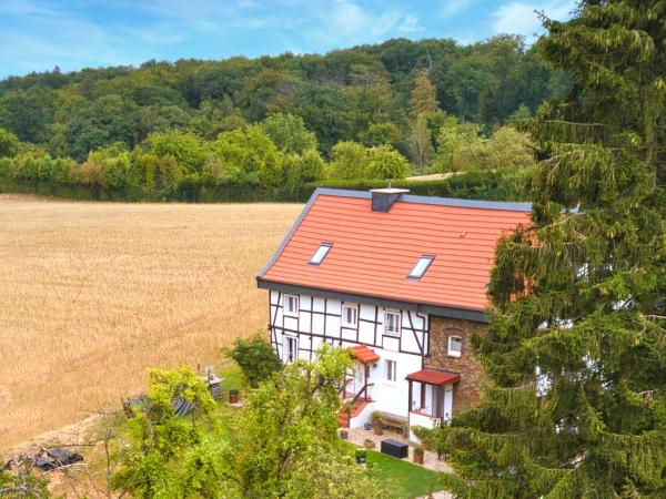 Familienfreundliche Grüne Oase Im Essener Süden - Essen