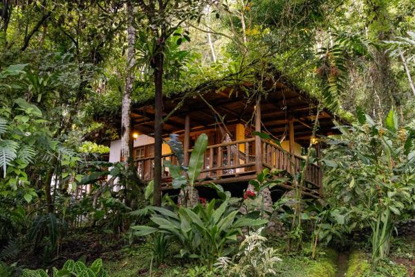 Rancho Margot Sustainable & Self Sufficient Eco Lodge - Costa Rica