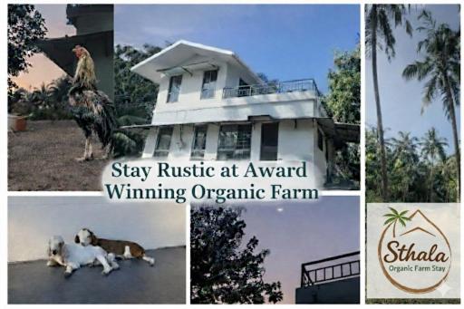 Sthala Organic Farm Stay - Tamil Nadu
