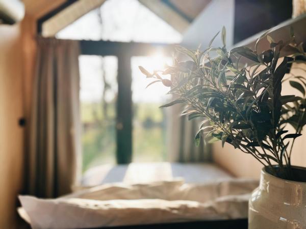 Tiny Cabin Met Airco En Privé Hottub - Flevoland
