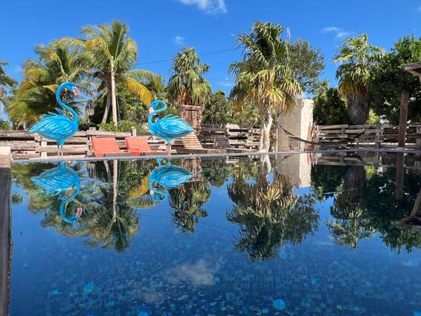 Flamingo Blue - Casa Boutique - Adults Only - El Cuyo