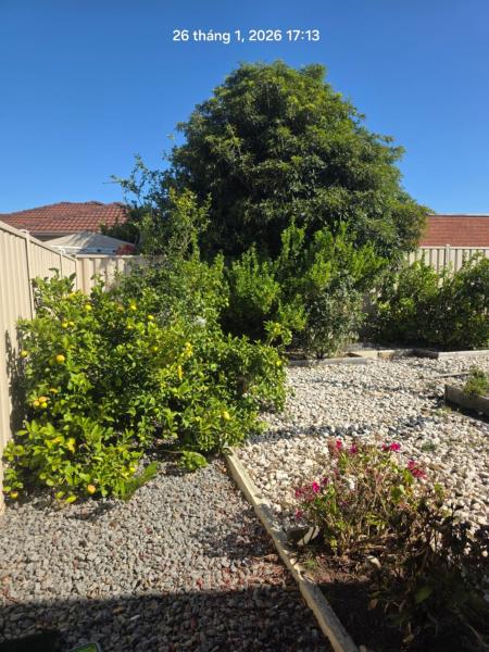 Room For Rent Female Only Free Cooking, Laundry,,, - St Albans