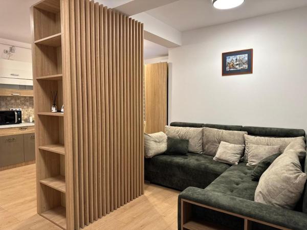 Nest Inn Olive Apartment - Baia Mare