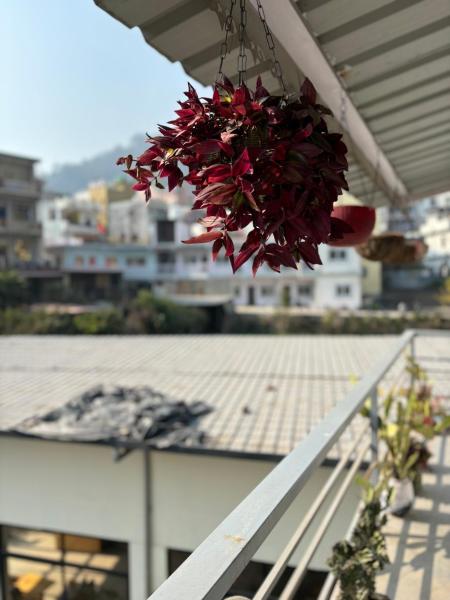 Secret Cove - Rishikesh