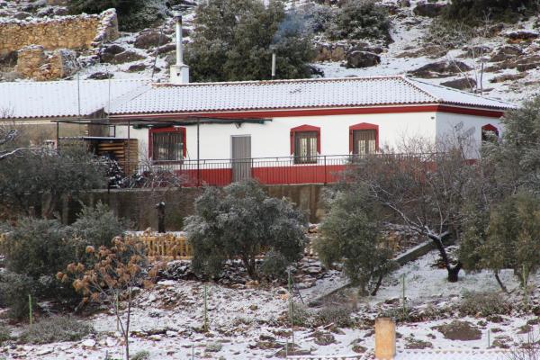 El Almendro De Fuentes Nuevas - Sierra de Cazorla