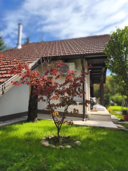 Holiday Cabin Near Ljubljana - Hawknest - Slovenia