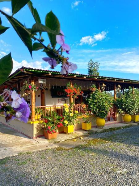 Finca Hotel Don Julio - Santa Rosa de Cabal