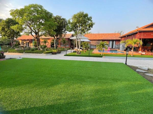 Melalueca Tay Ninh - Tây Ninh