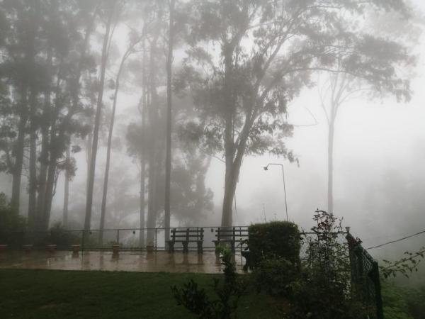 New Holiday Bungalow - Sri Lanka