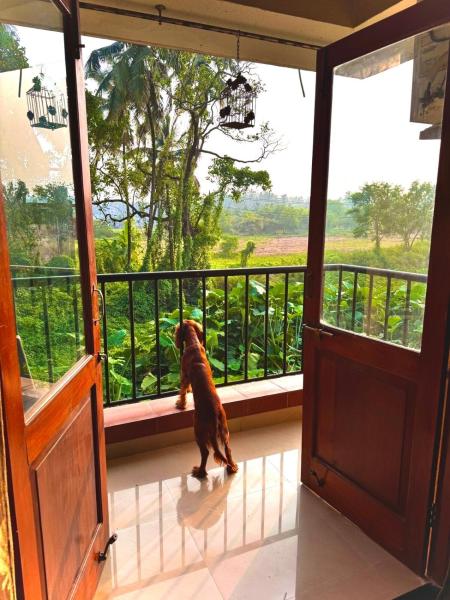 Sky Serein Farm View, Pool, 10mins To Baga - Anjuna
