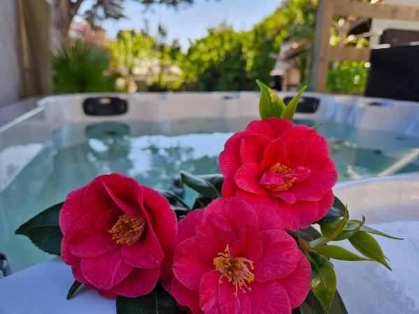 Villa 11 Pers 4ch - Jacuzzi - Le Cormier - Pornic