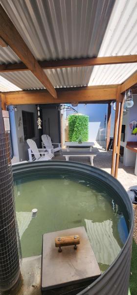 Steenbokkie - Langebaan