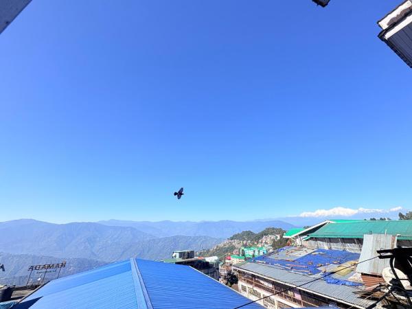 Valentino Near Telephone Exchange - Darjeeling - Darjeeling