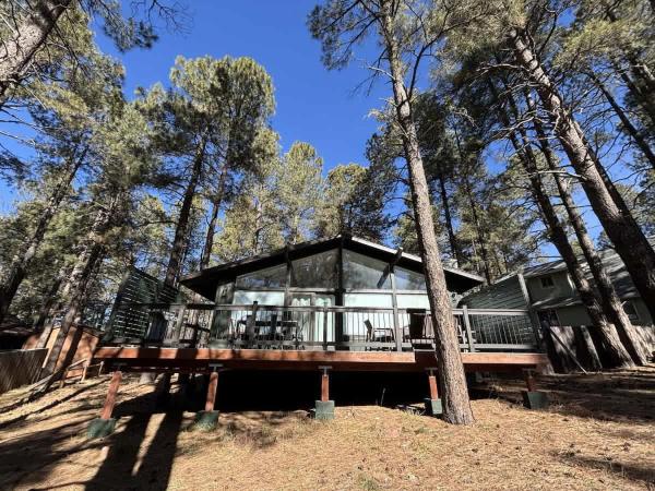 Pine Cone Cabin Flagstaff 3br 2ba - Flagstaff, AZ