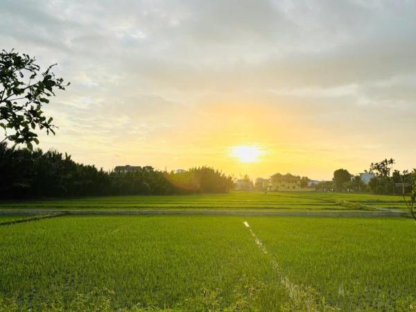 Big Promo - New House 2bdrs With Kitchen And Near Rice Field - Hội An