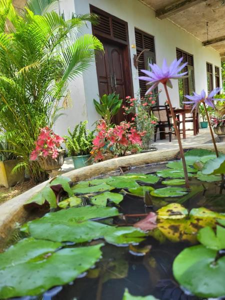 Nature Villa Mirissa - Mirissa