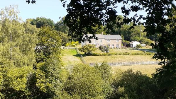 The Folly - Forest of Dean