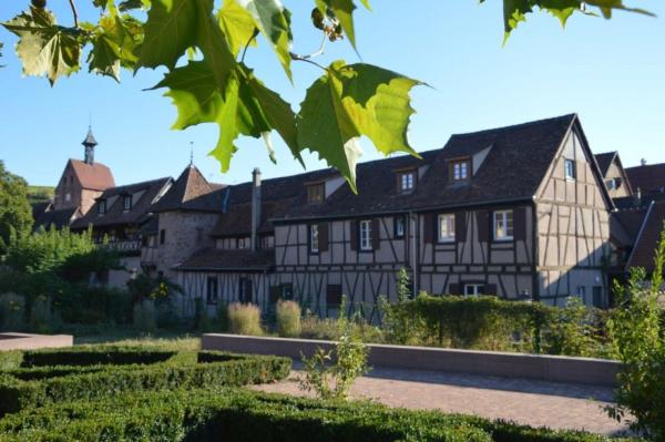 Bacchus - Gîte Classé 4 éToiles - Emplacement Et Vue Exceptionnels - Animaux De Compagnie Acceptés - Riquewihr