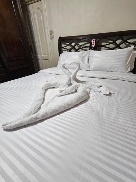 Classic Apartment Near The Nile, Downtown Cairo - Le Caire